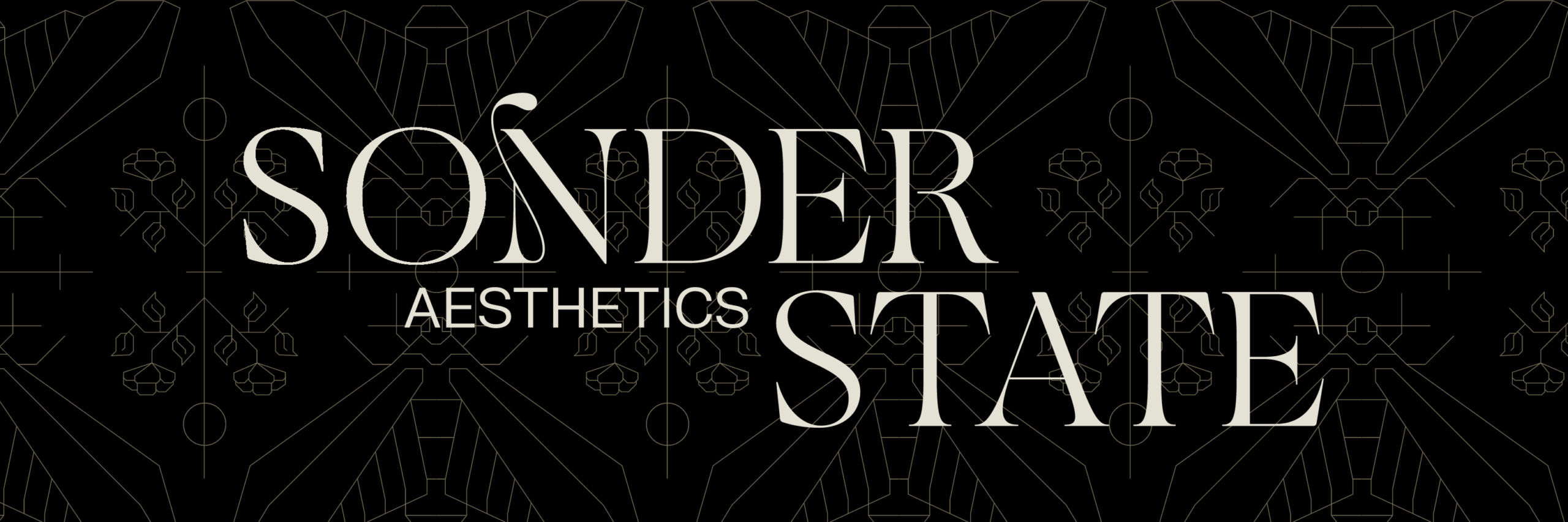 RESULTS - Sonder State Aesthetics